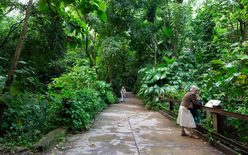 Burgers’ Zoo – Wiegerinck
